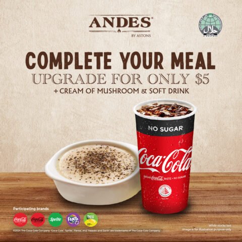 ANDES by ASTONS - ANDES by ASTONS